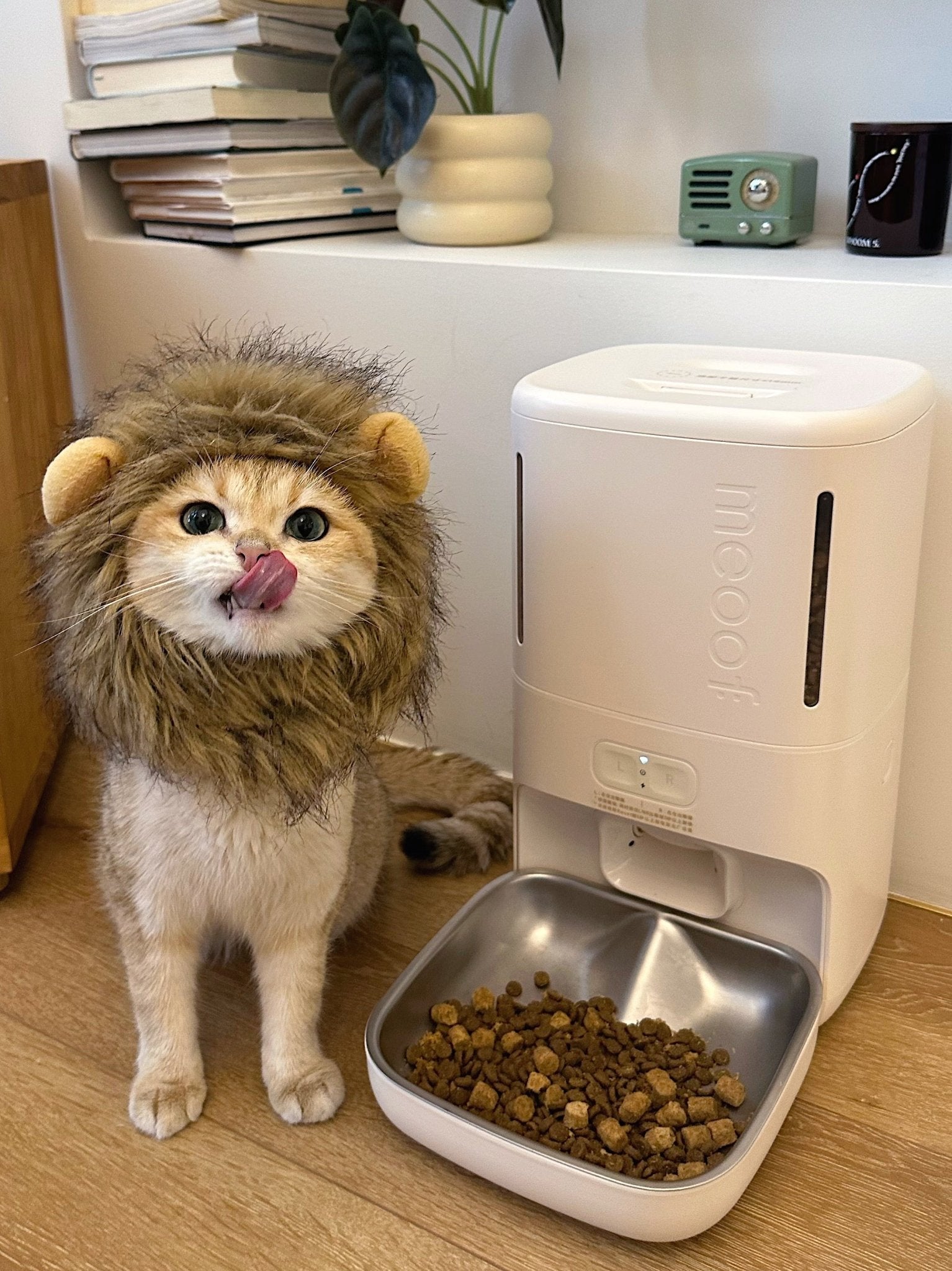 Intelligent Pet Feeder: Revolutionizing Mealtime for Your Beloved Pet ...
